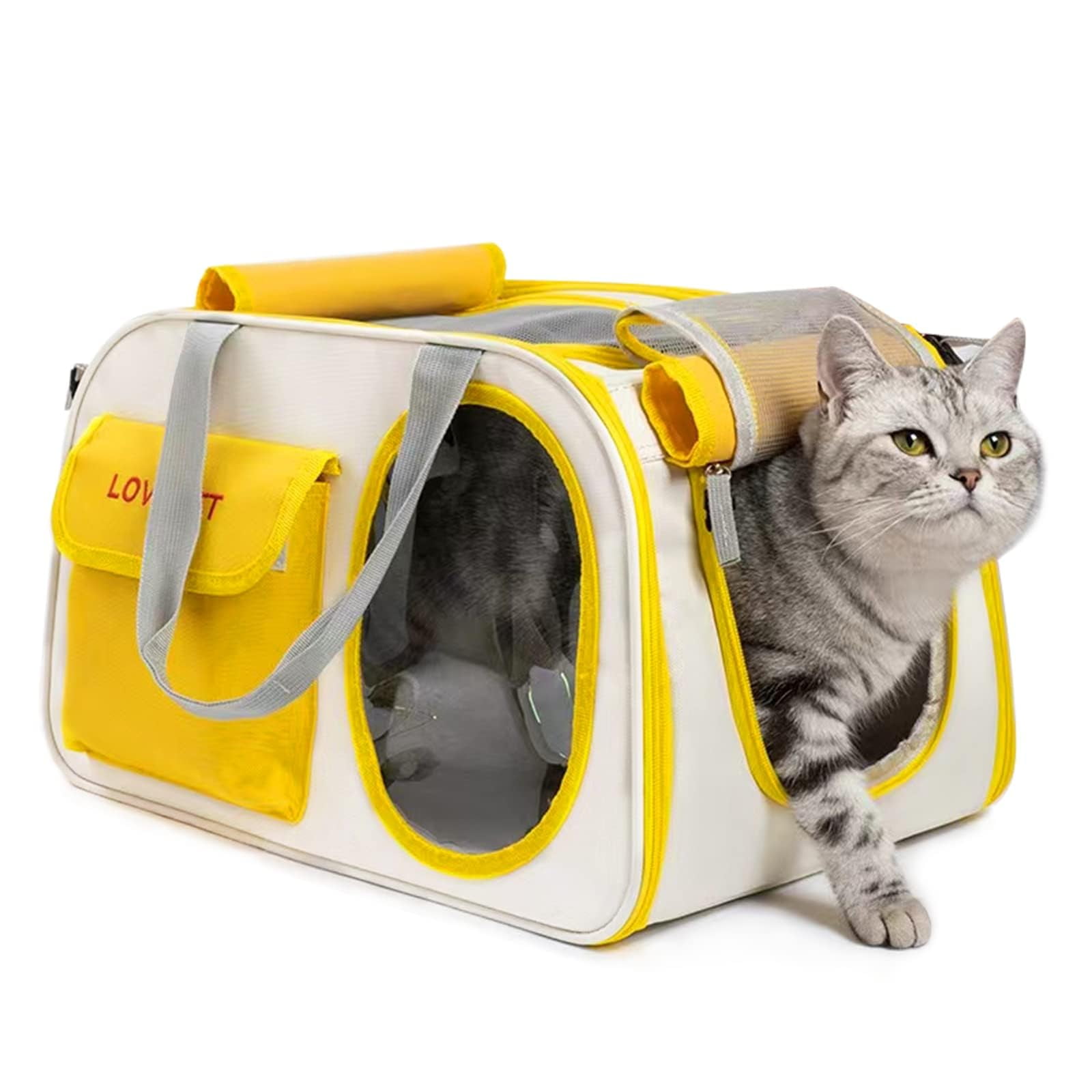 Fluorescia Pet Carrier for Small Cats Dogs, Dog Carrier Travel Bag with Adequate Ventilation ...