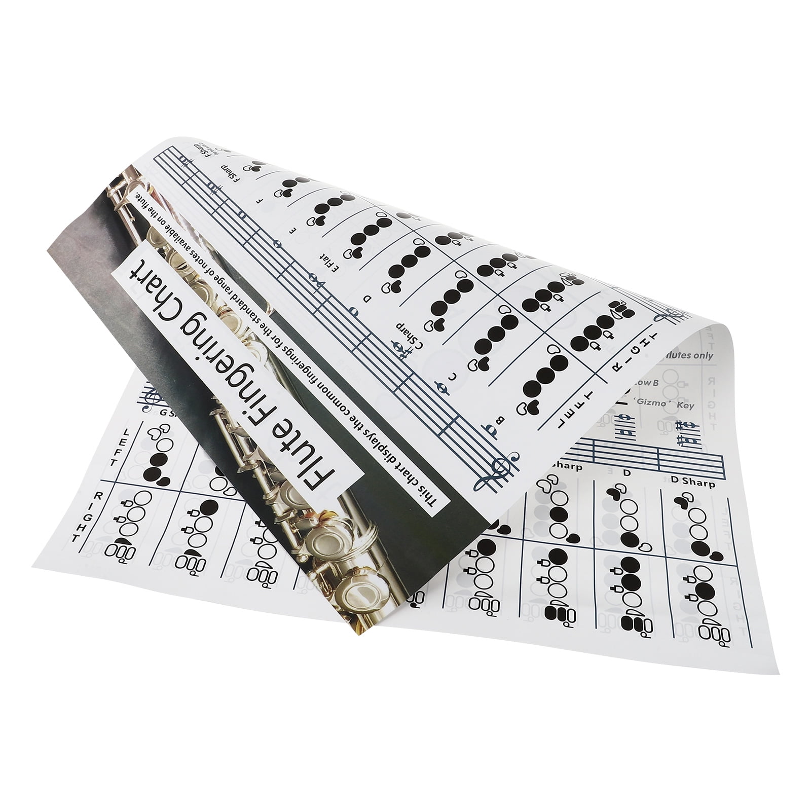 Flute Chord Chart Poster 1 Set Useful Reference Guide - Walmart.com