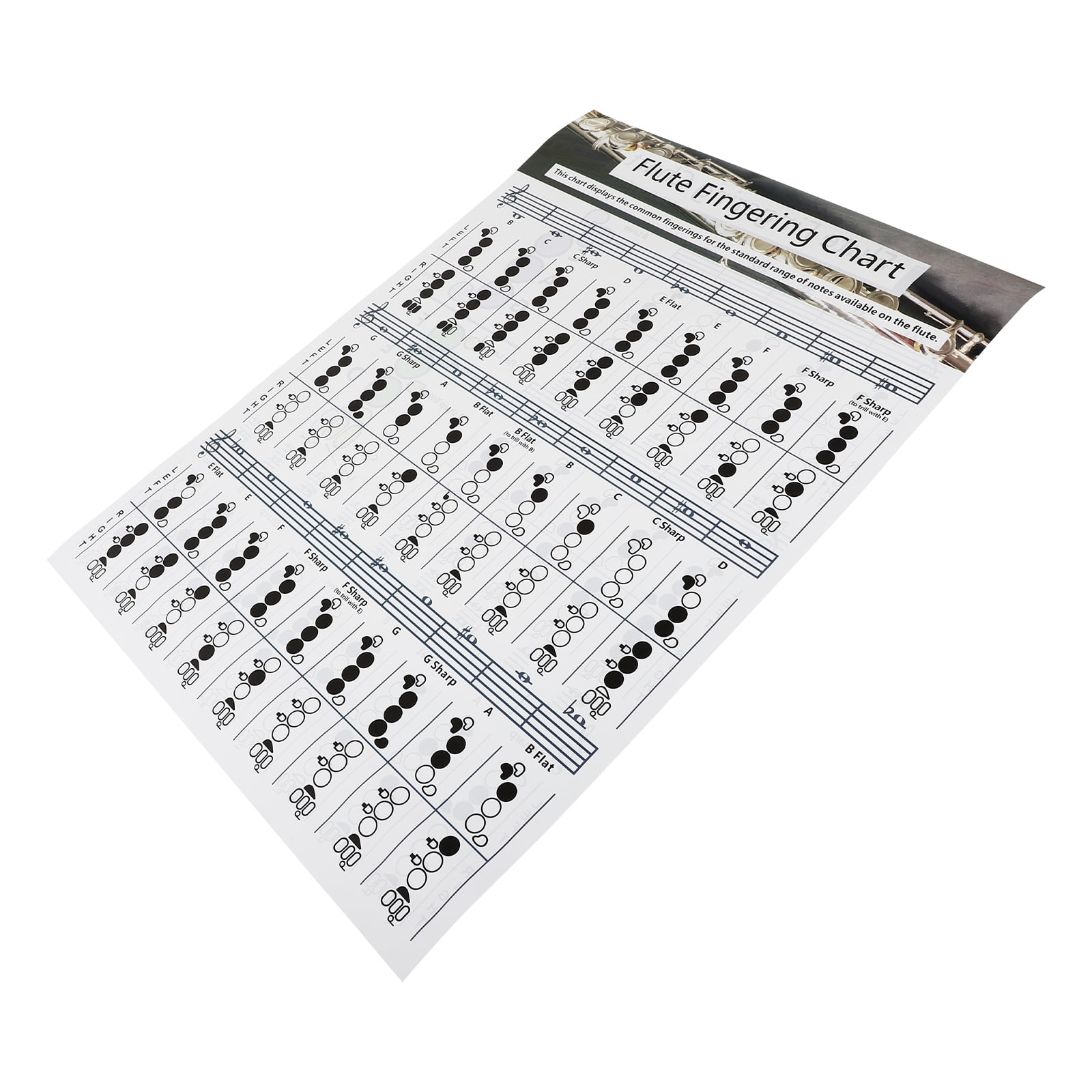 Flute Chord Practice Chart Poster for Novice Guitar Chords Coated Paper ...