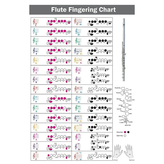 Flute Fingering Chart poster with Color-Coded Notes, Learn Flute ...