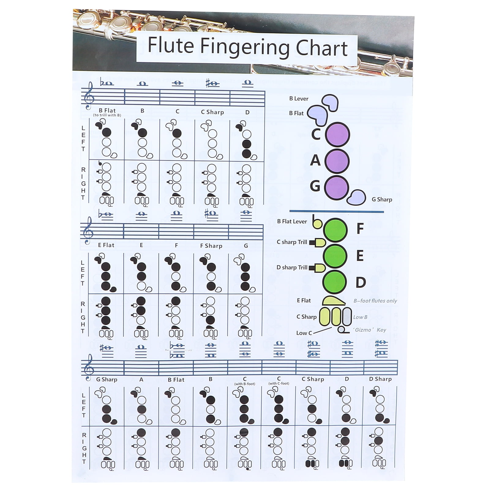 Flute Fingering Chord Chart Beginner Student Practice Teaching Aids ...