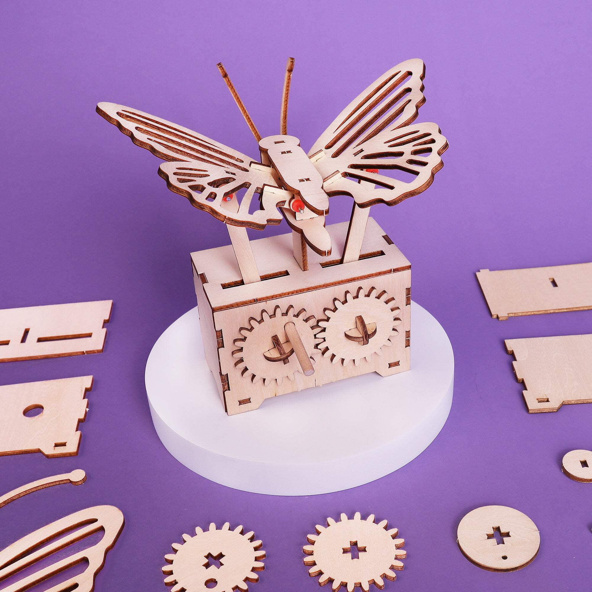 Fluttering Butterfly DIY Kit, Educational STEM Toy - Walmart.com