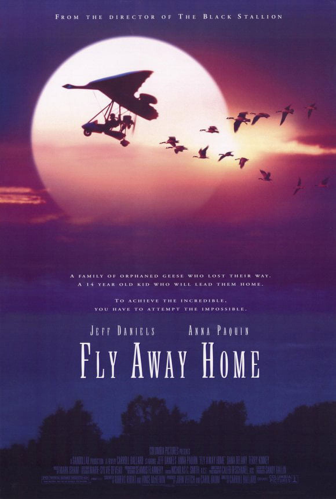 Fly Away Home (1996) 11x17 Movie Poster - Walmart.com