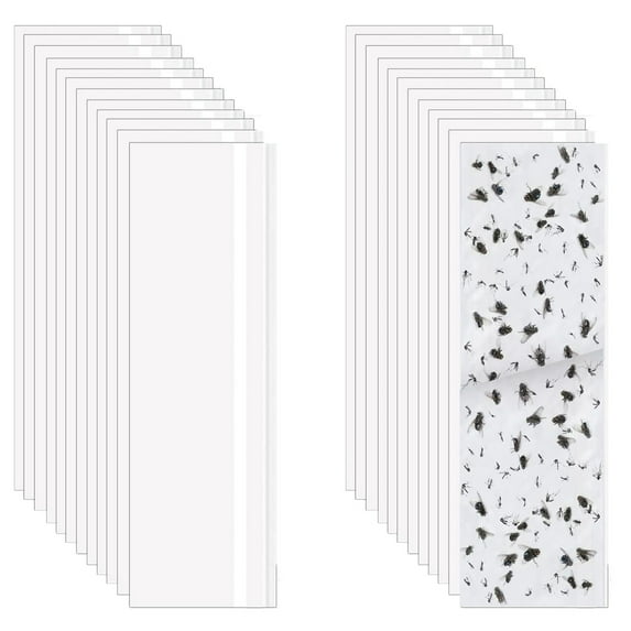 Fly Catcher Sticky Trap for Indoor/Outdoor,Happon Window Fly Traps ...