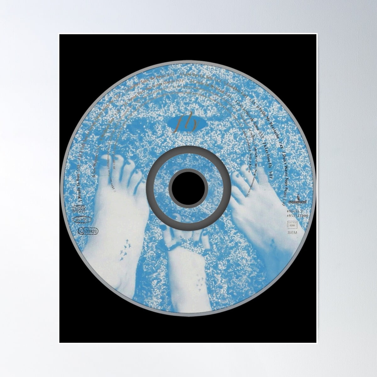 Fly Dixie Chicks Album Poster Wall Art, Modern Wall Decor For Living ...