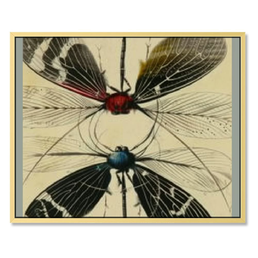 Fly Fishing Art, Fish Illustration, Poster for Fishing Enthusiasts Wall ...