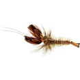 Fly Fishing Flies by Fly Supply - Soft Shell Crayfish - Fly Fishing ...