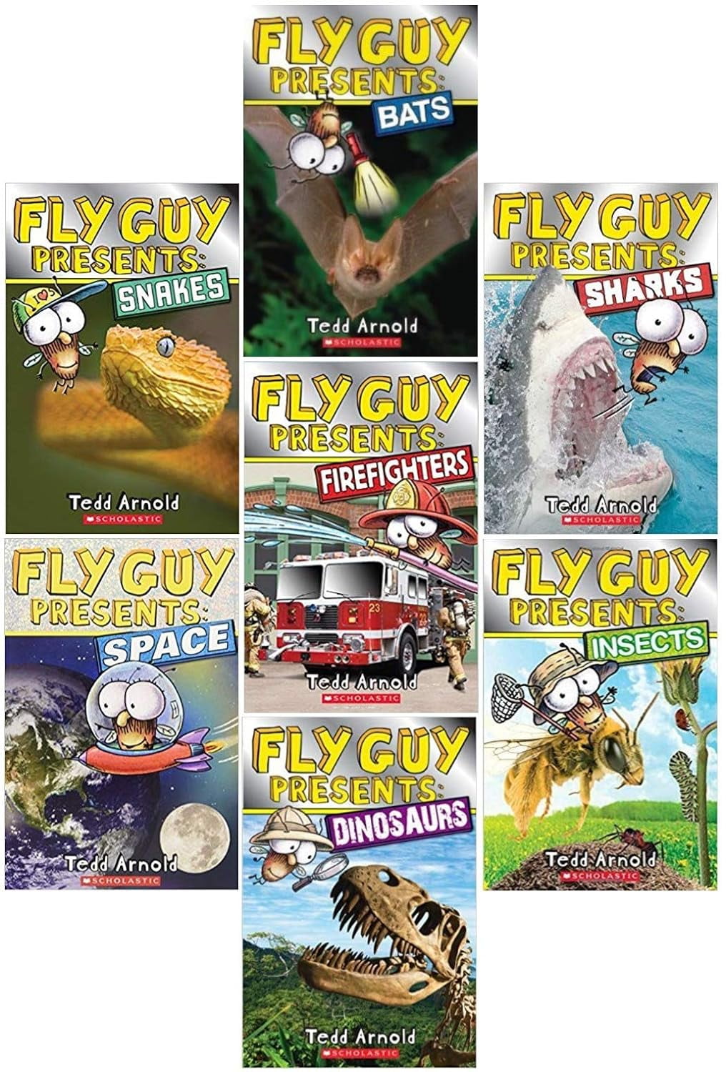 Fly Guy Presents Collection : Fly Guy Presents: Bats; Fly Guy Presents ...