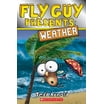 Fly Guy Phonics Boxed Set - Walmart.com