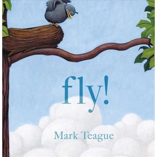 Fly! (Hardcover) - Walmart.com