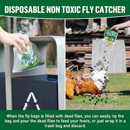 Fly Traps Outdoor with Natural Pre-Baited, Disposable Non Toxic Fly ...