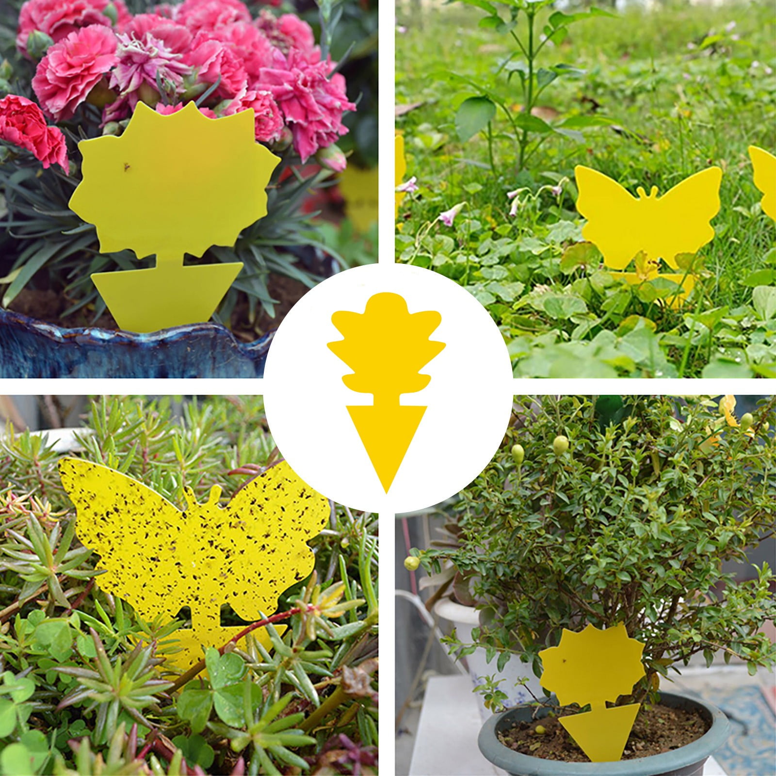 Fly trap，Atrapa moscas，Traps Sticky Board Dual-Sided Sticky Traps ...