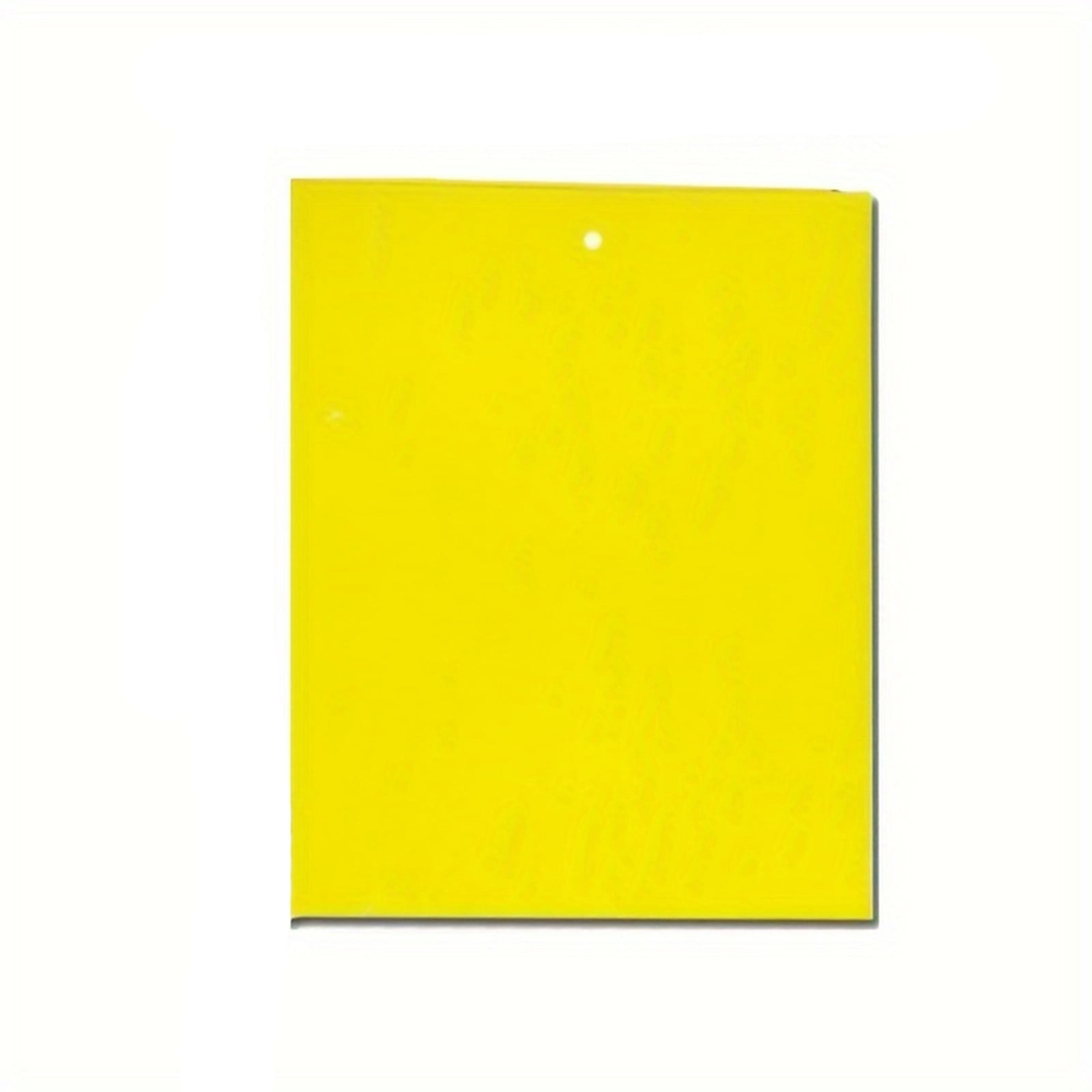 Fly traps outdoor，Flies trap，Effective for the kitchen and food ...