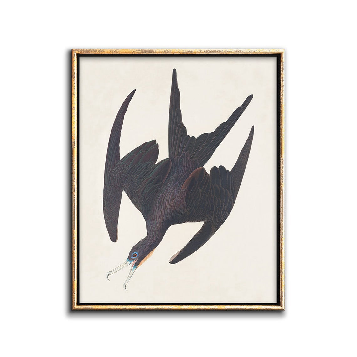 Flying Bird Art Print, Bird Poster Art, Bird, Vintage Bird Print Decor ...