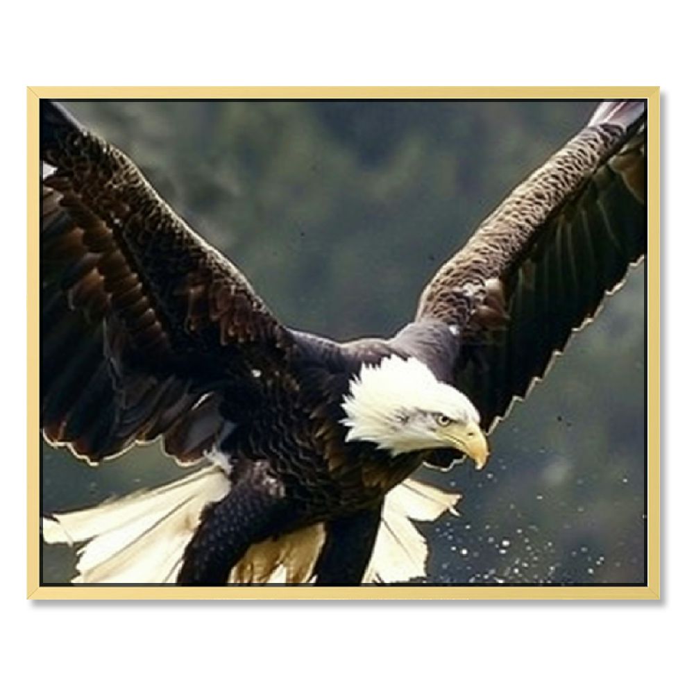 Flying Bird Wall Decor Wildlife Animal Art Print Poste - Walmart.com