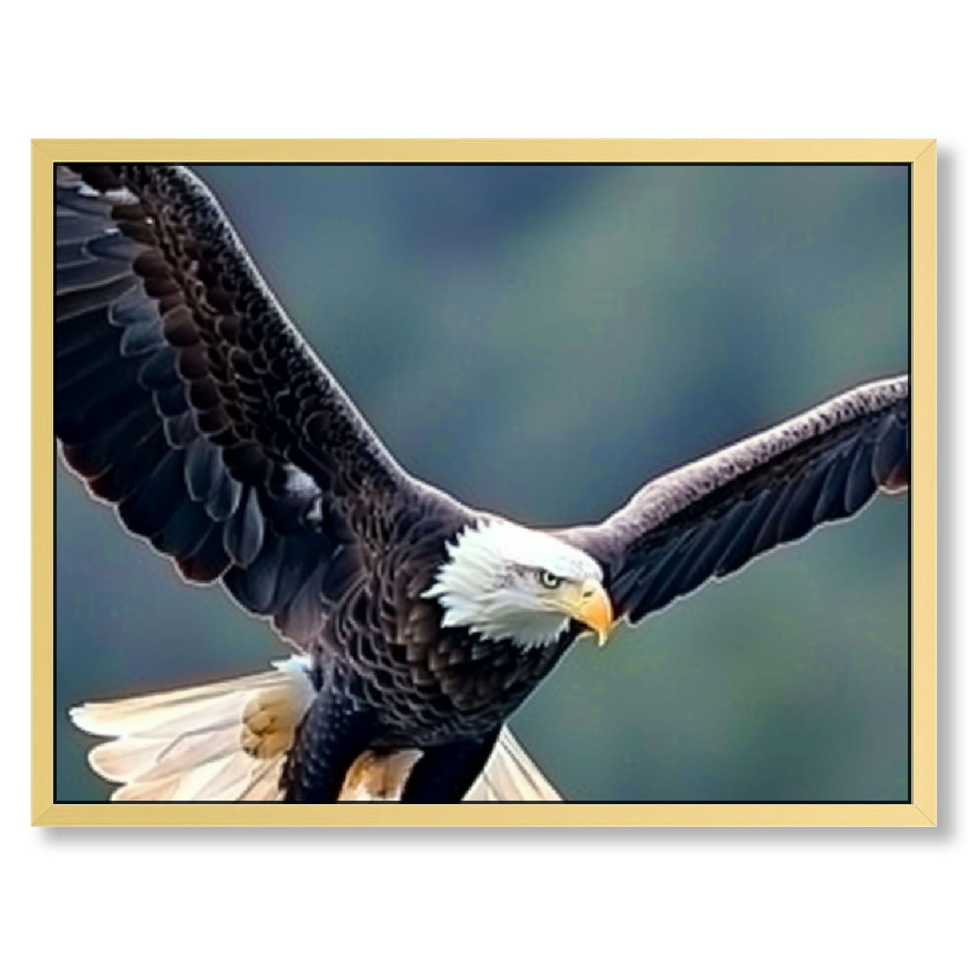 Flying Bird Wall Decor Wildlife Animal Art Print Poster - Walmart.com