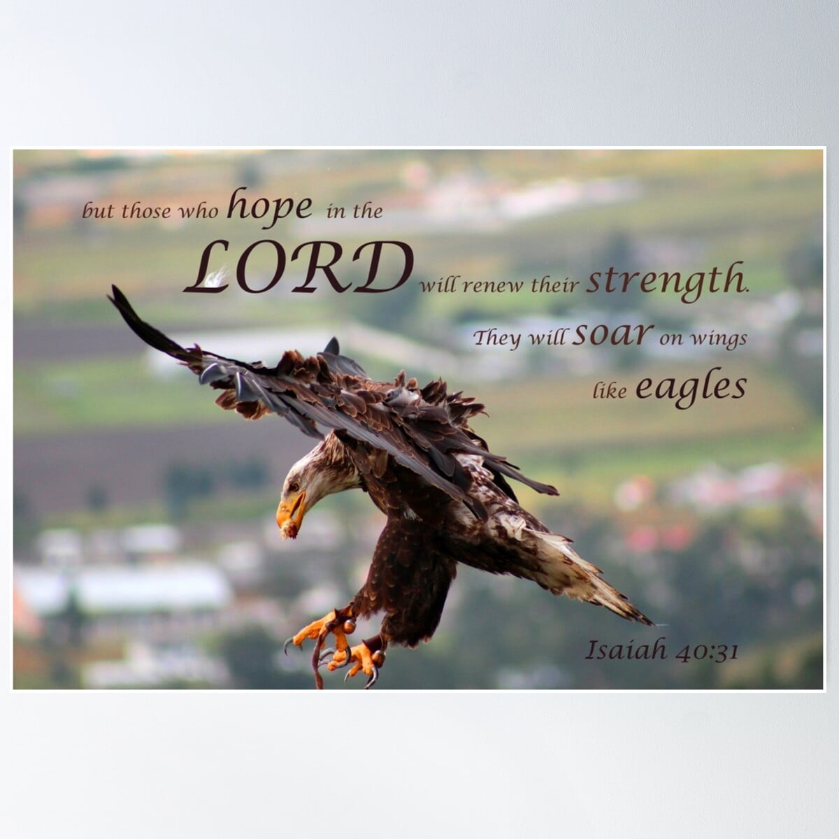 Flying Eagle Bible Verse Poster Wall Art, Modern Wall Decor For Living ...