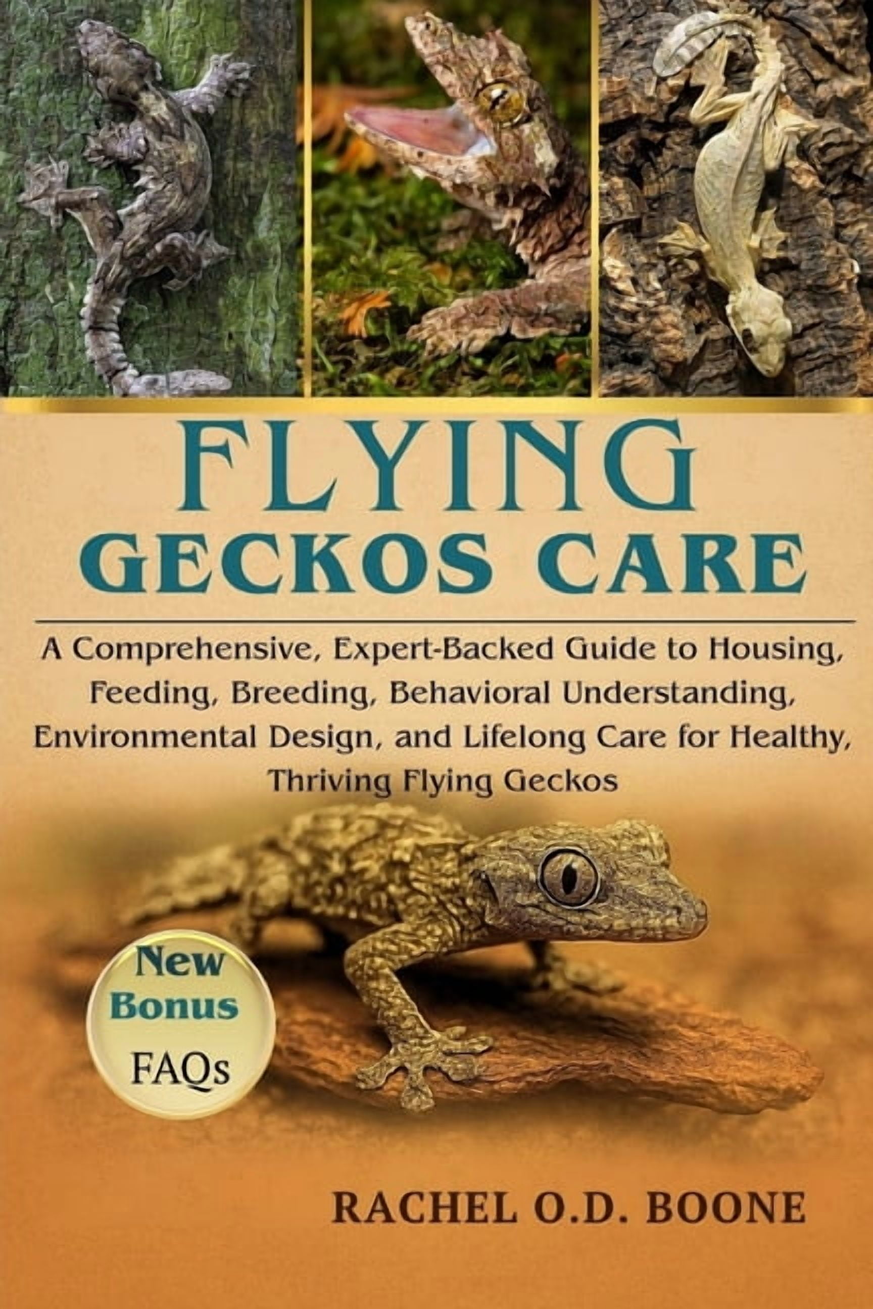 Flying Geckos Care: A Comprehensive, Expert-Backed Guide to Housing ...