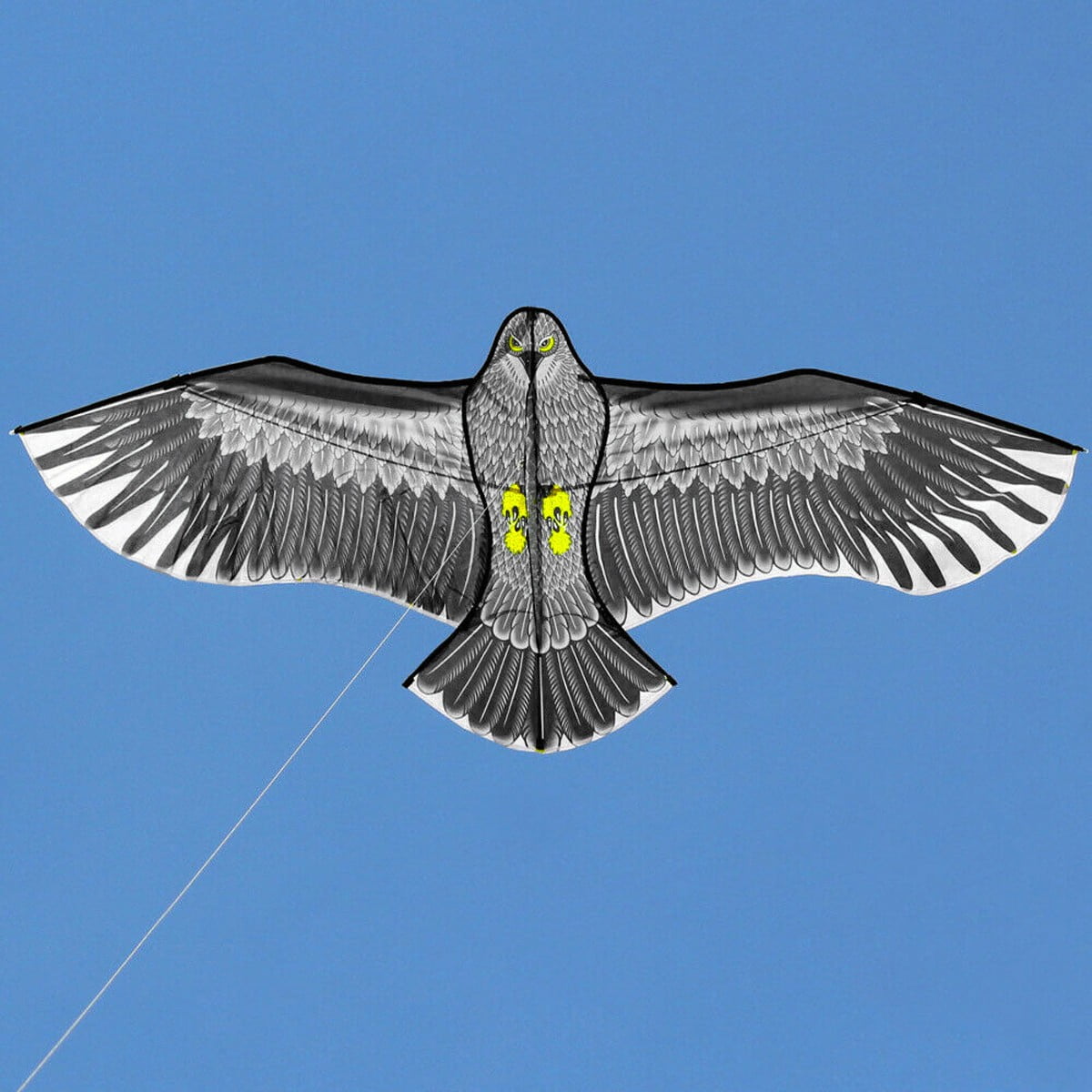 Flying Kites for Children Kite Sparkling Water Activity for Kids ...