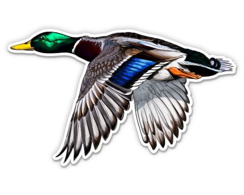 Flying Mallard Duck - 12" Vinyl Sticker Waterproof Decal - Walmart.com