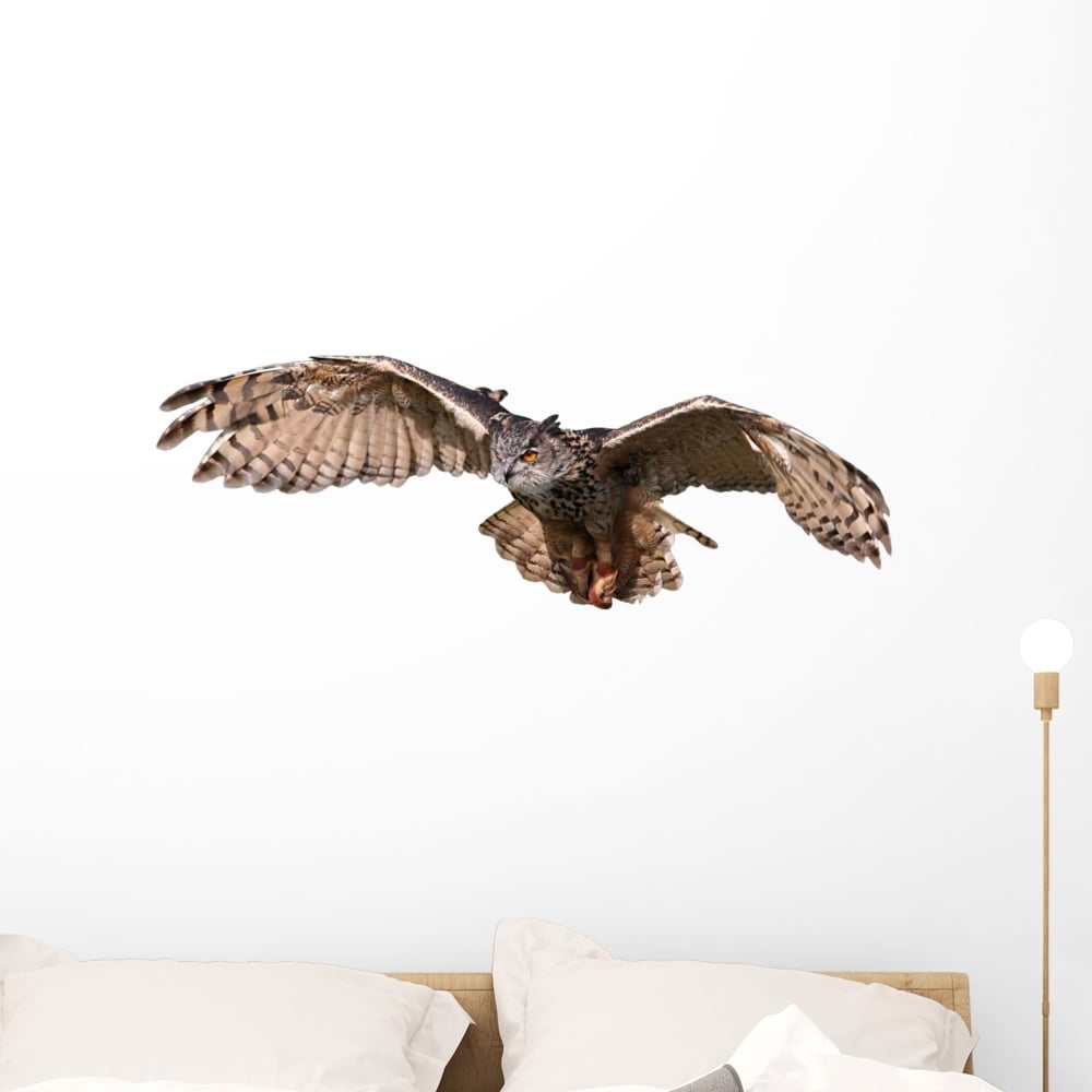 Flying Owl Wall Decal by Wallmonkeys Peel and Stick Graphic (36 in W x ...