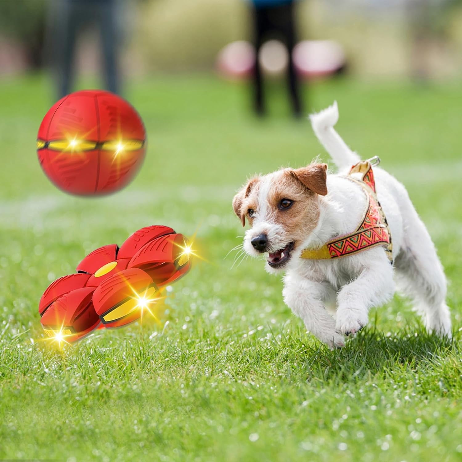 Flying Saucer Ball Interactive Outdoor Sports Training Games Magic ...