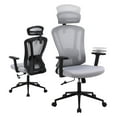 Flysky Office Chair-Mesh Office Chair with Adjustable Seat Depth,3D ...