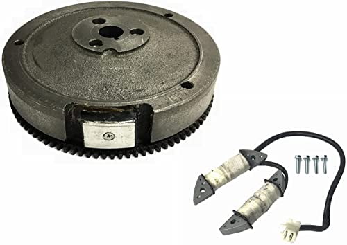 Flywheel with Gear and Magneto & Paralleled Charging Coil Head Light ...