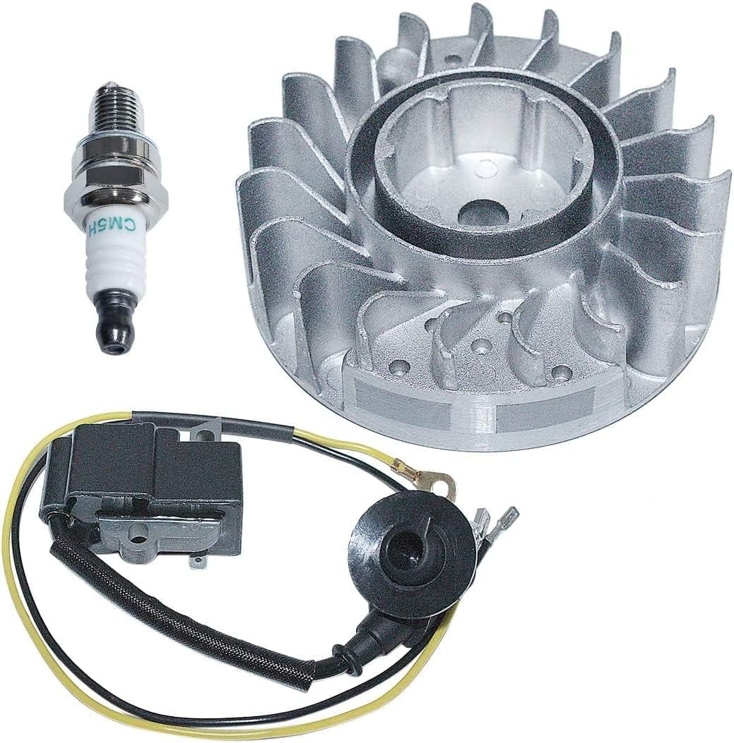 Flywheel Ignition Coil Spark Plug Kit Replacement for MS251 MS 251C ...