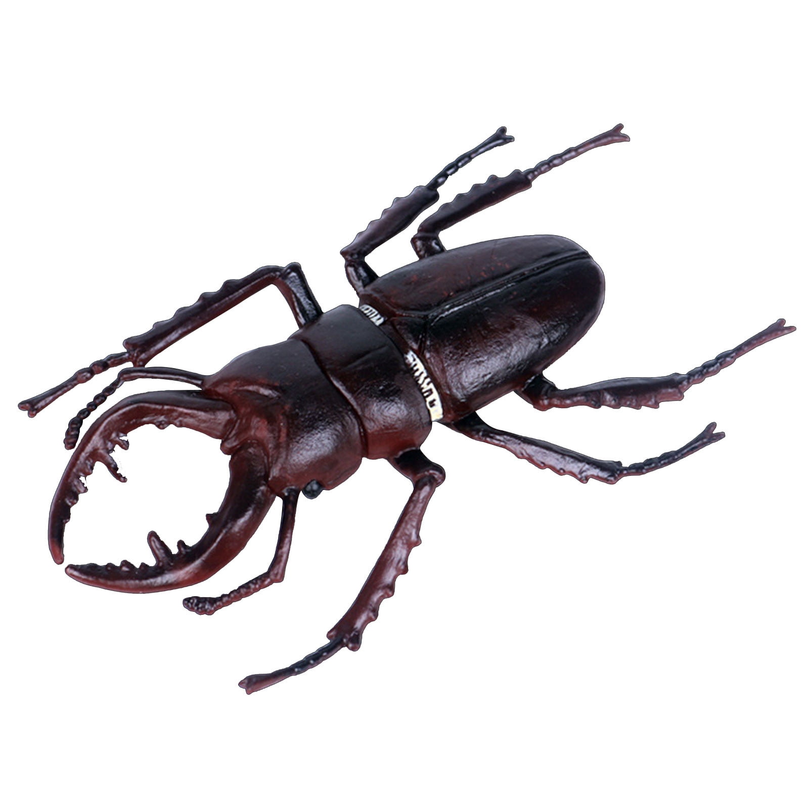 Fnochy Halloween Decorations Realistic Spider, Giant Fake Spider Action ...