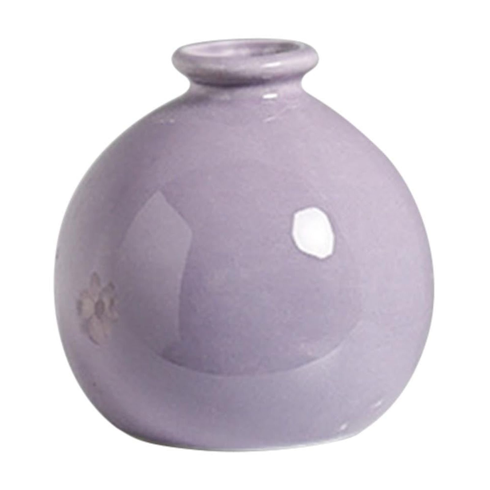 Fnyoxu Ceramic Hydroponic Vase - Self-Watering Planter for Dried ...