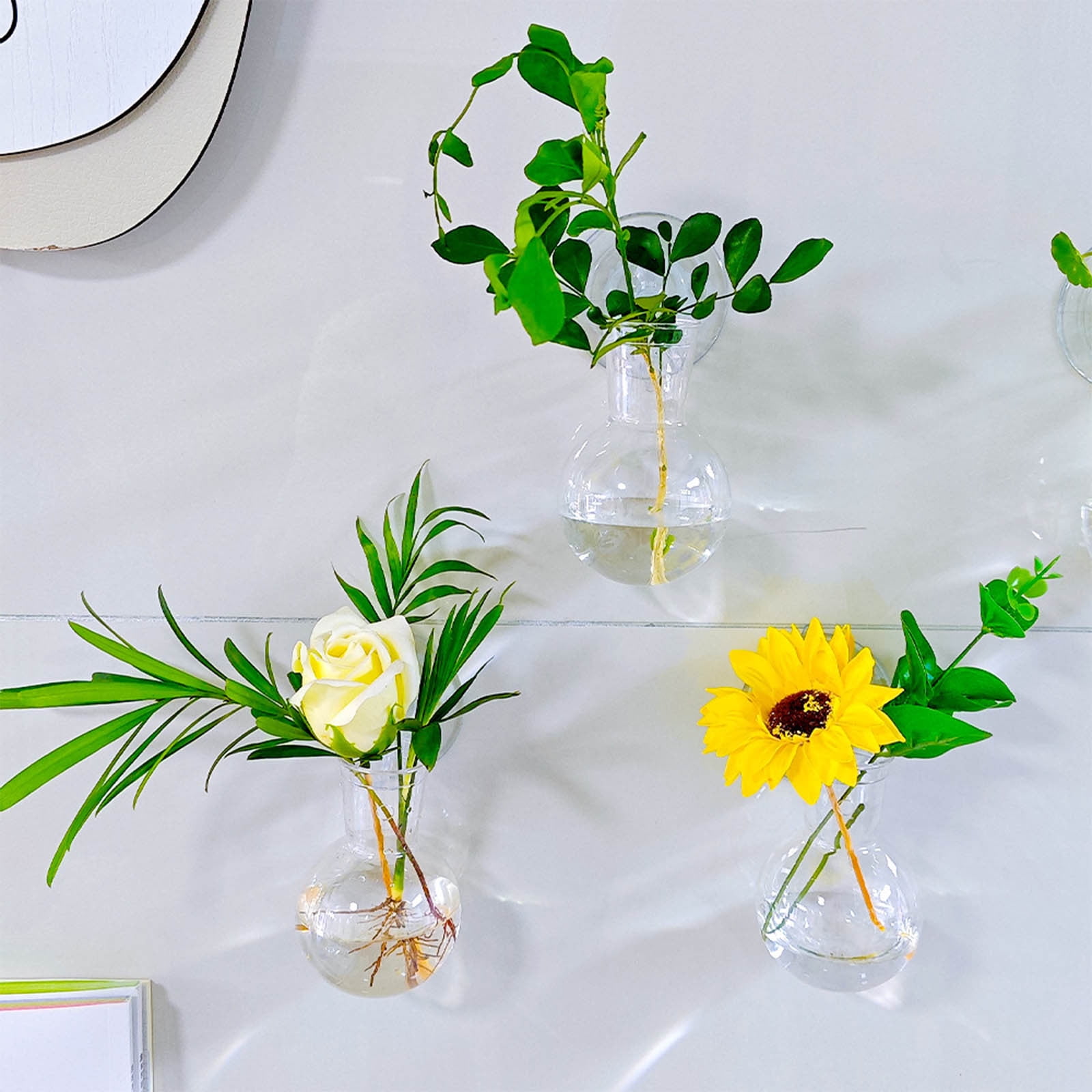 Fnyoxu Transparent Hanging Vase - Wall Mounted Fish Tank with Suction ...