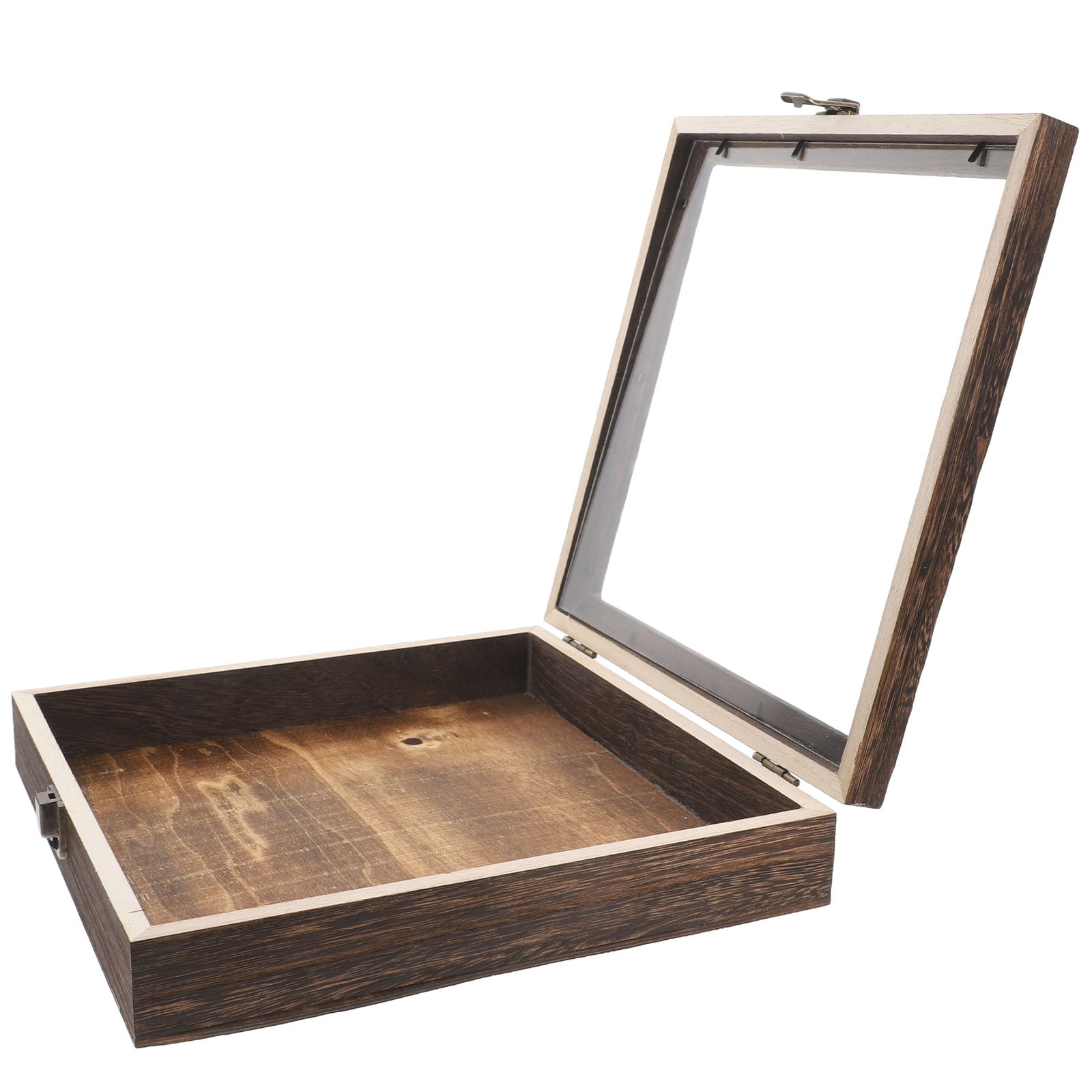 Foam Display Cabinet Solid Wood Insect Specimen Box - Walmart.com