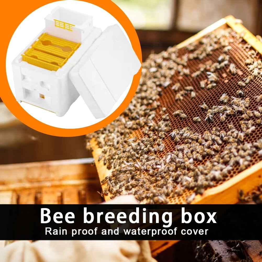 Foam Pollination Box Bee for Nest Tool Multifunction Beehive Equipment ...