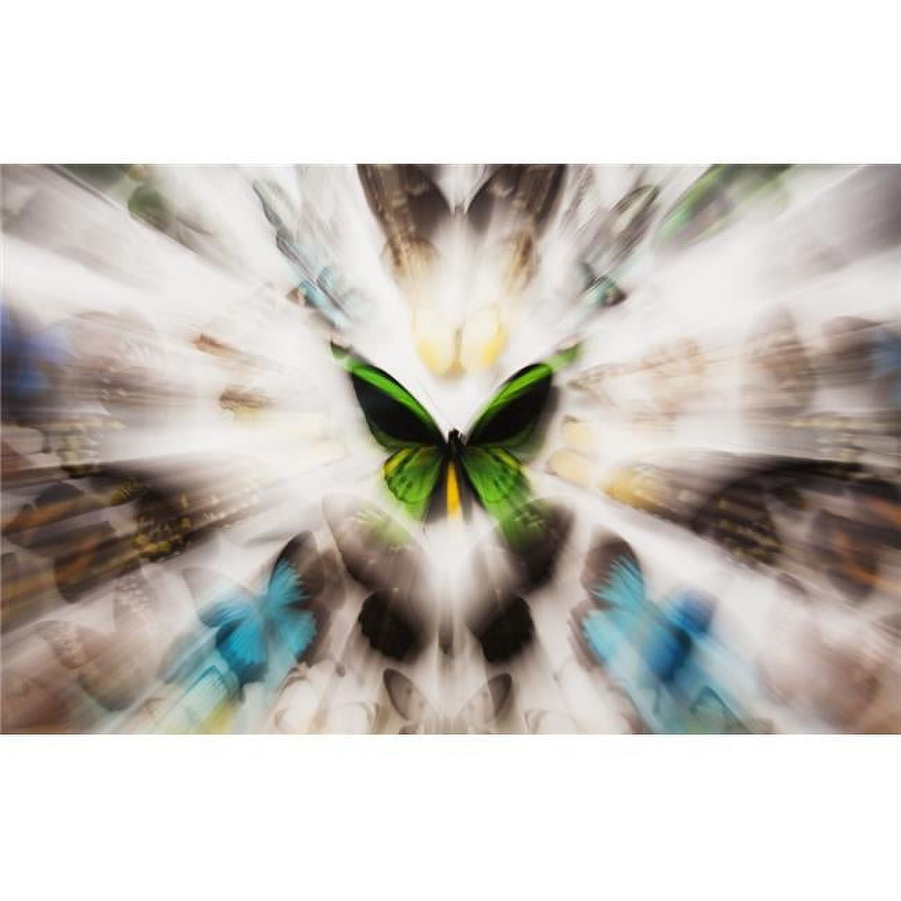 Focus On A Green Butterfly with Images of Butterflies Surrounding It ...