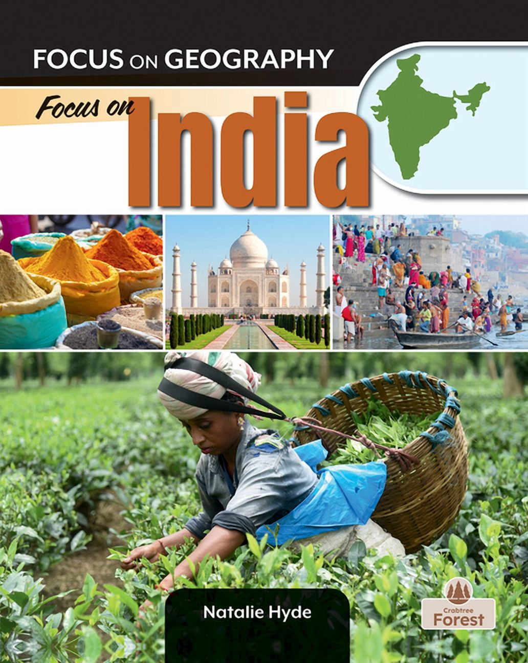 Focus on Geography Focus on India, (Hardcover) - Walmart.com