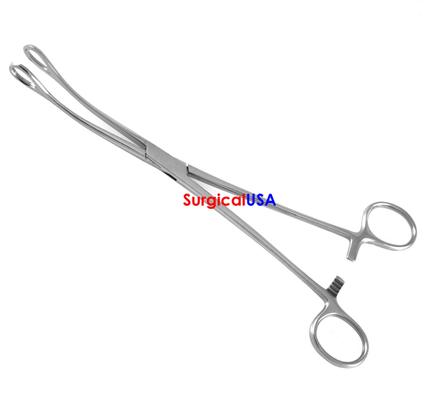 Foerster Sponge Forceps 9.5" Curved Fenestrated Smooth Jaws With ...