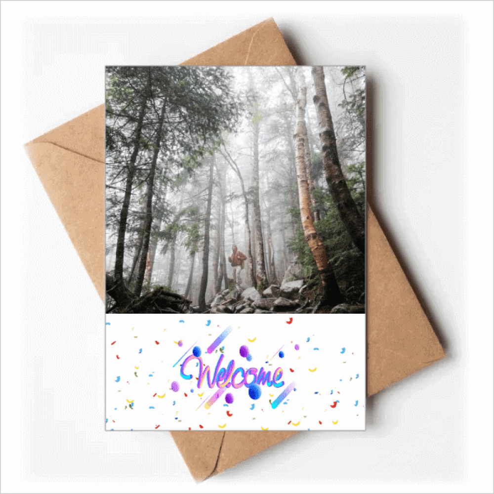 Fog Forestry Science Nature Scenery Welcome Back Greeting Cards ...