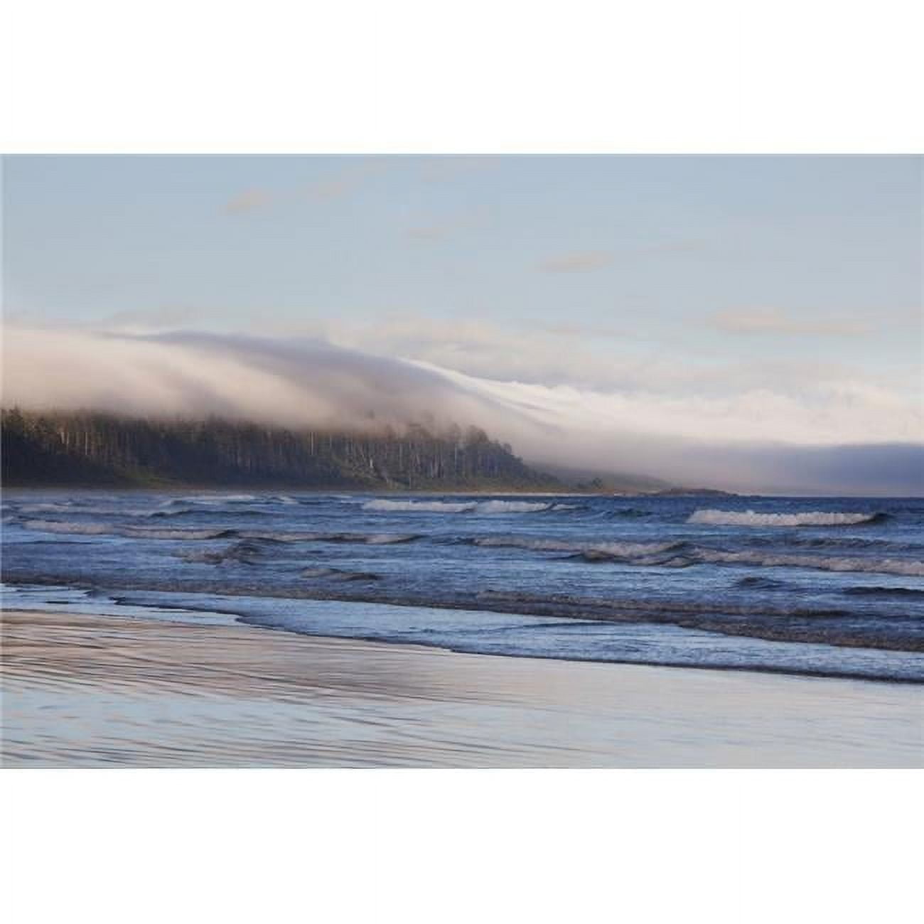Fog Forms Over The Temperate Rainforest Along Long Beach in Pacific Rim ...