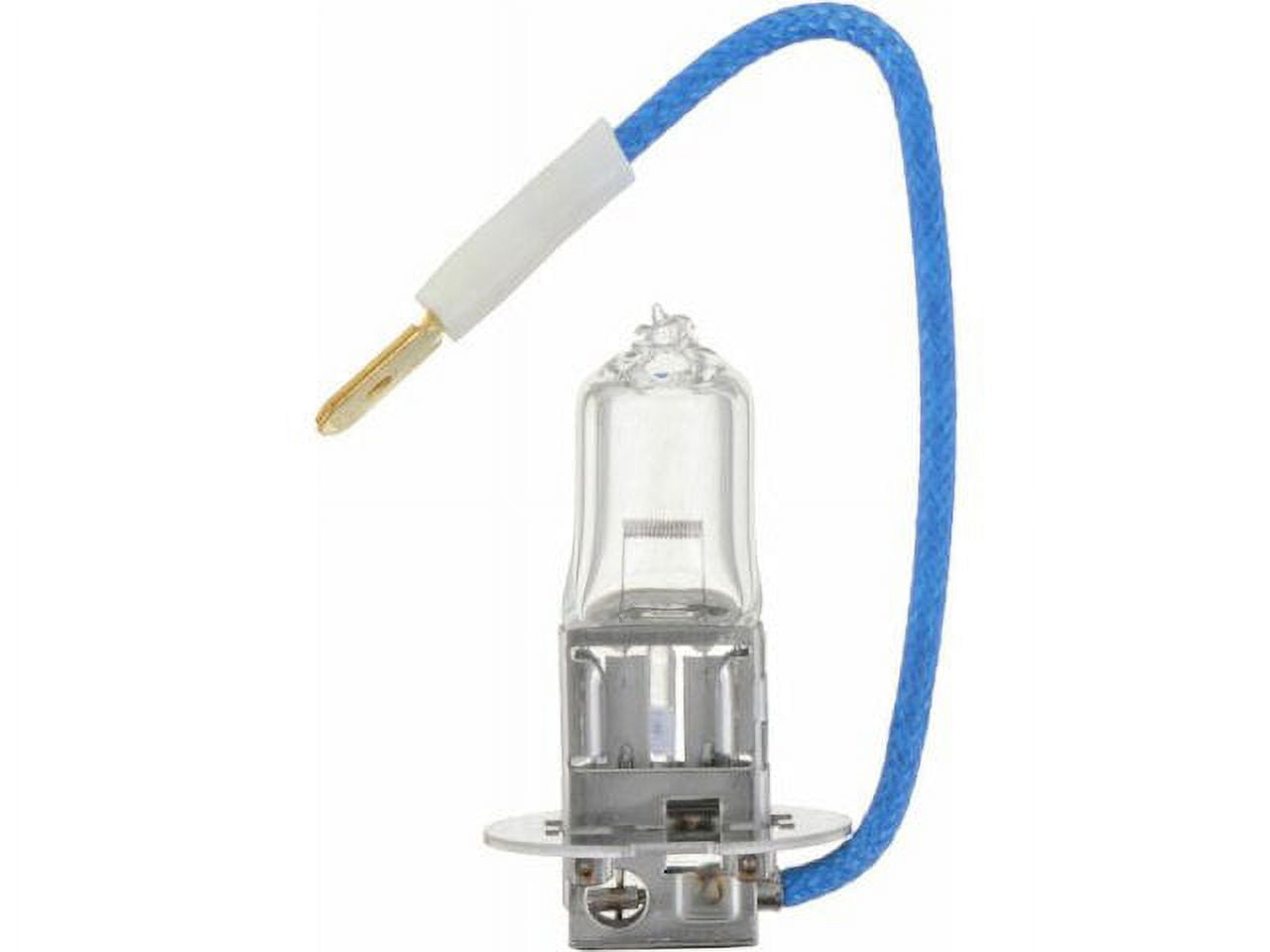 Fog Light Bulb - Compatible with 1998 - 2003 Nissan Frontier 1999 2000 ...