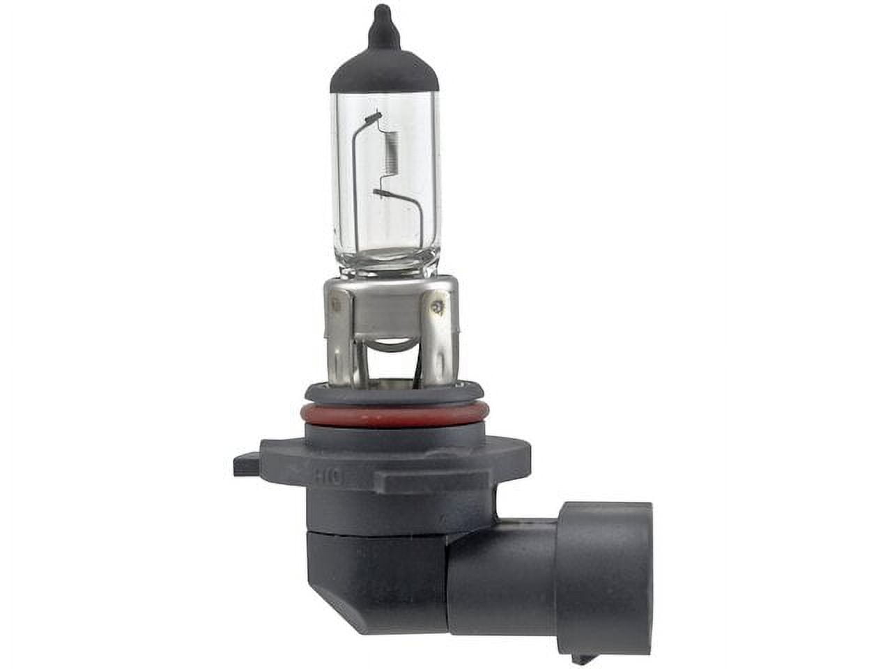 Fog Light Bulb - Compatible with 1999 - 2012 Ford Expedition 2000 2001 ...