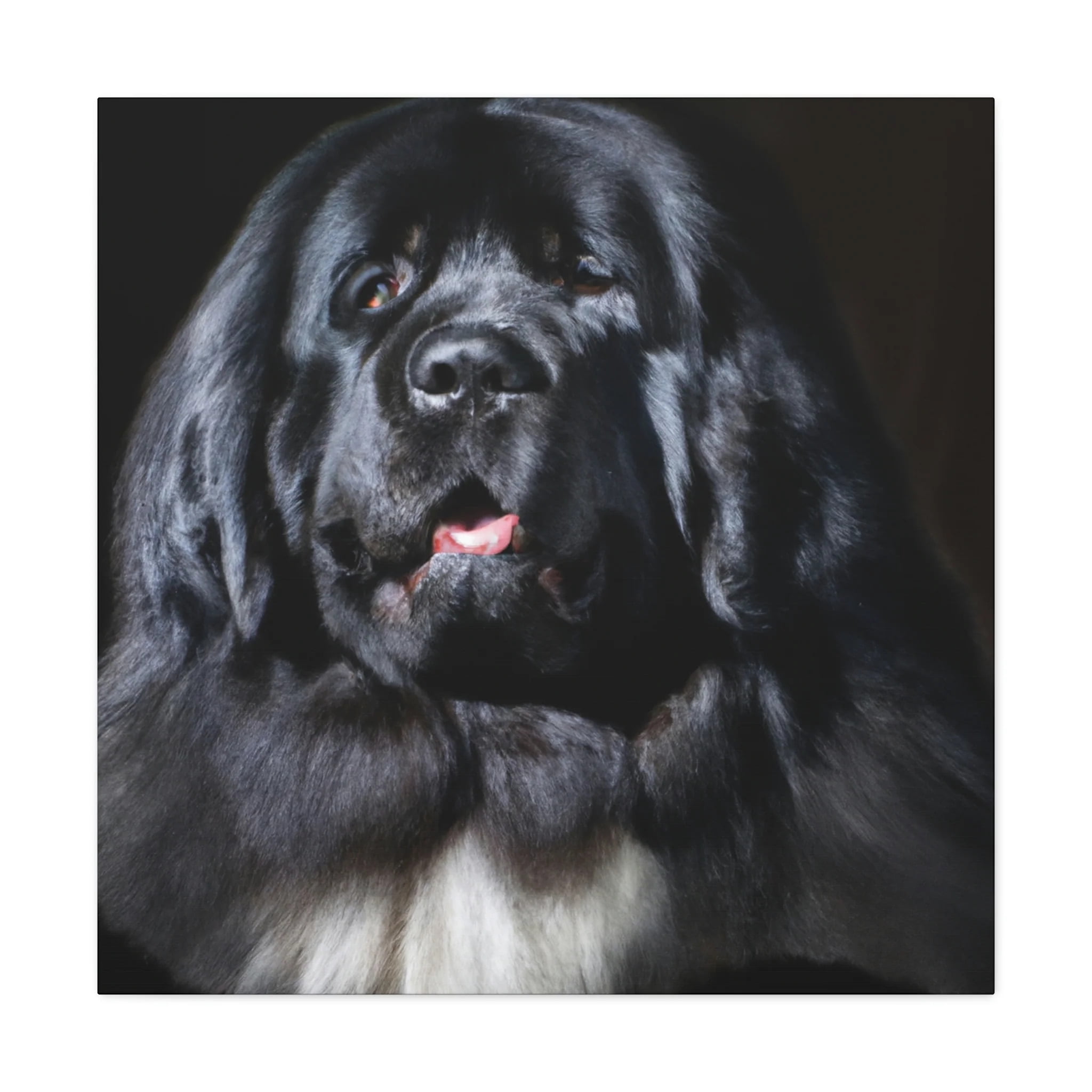 Fog on Newfoundland Coast - Canvas - Walmart.com