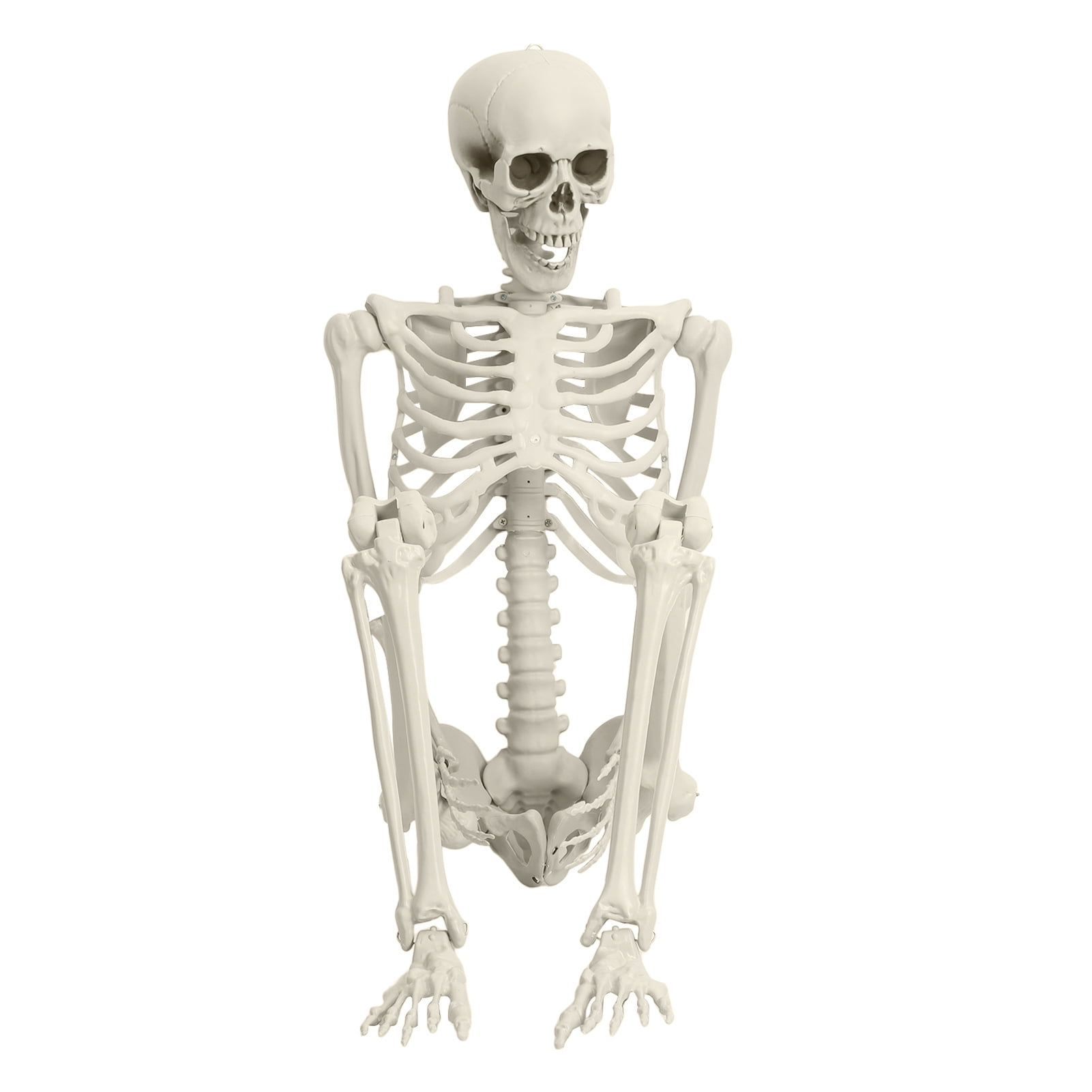 Fogcroll 5.4 Ft/170cm Poseable Full Body Life Size Skeleton Props with ...
