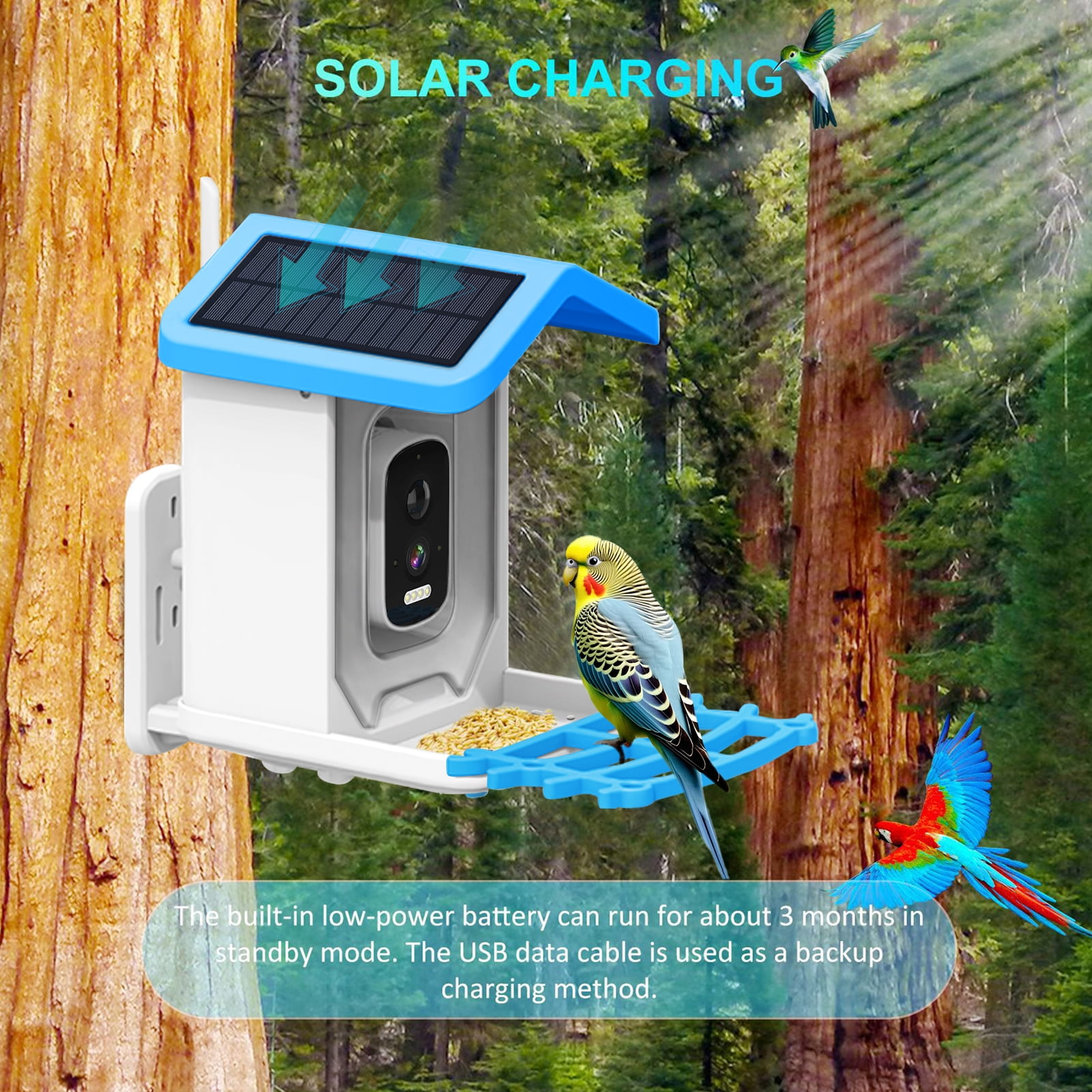 Fogcroll Bird Feeder with Camera Smart Ai Bird Breed Recognition Birds ...