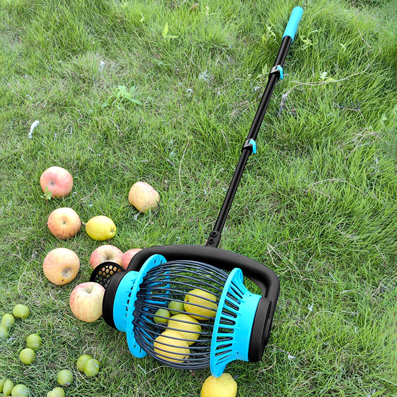 Fogcroll Nut Gatherer Walnut Picker Upper Roller Pecan Picker Upper ...