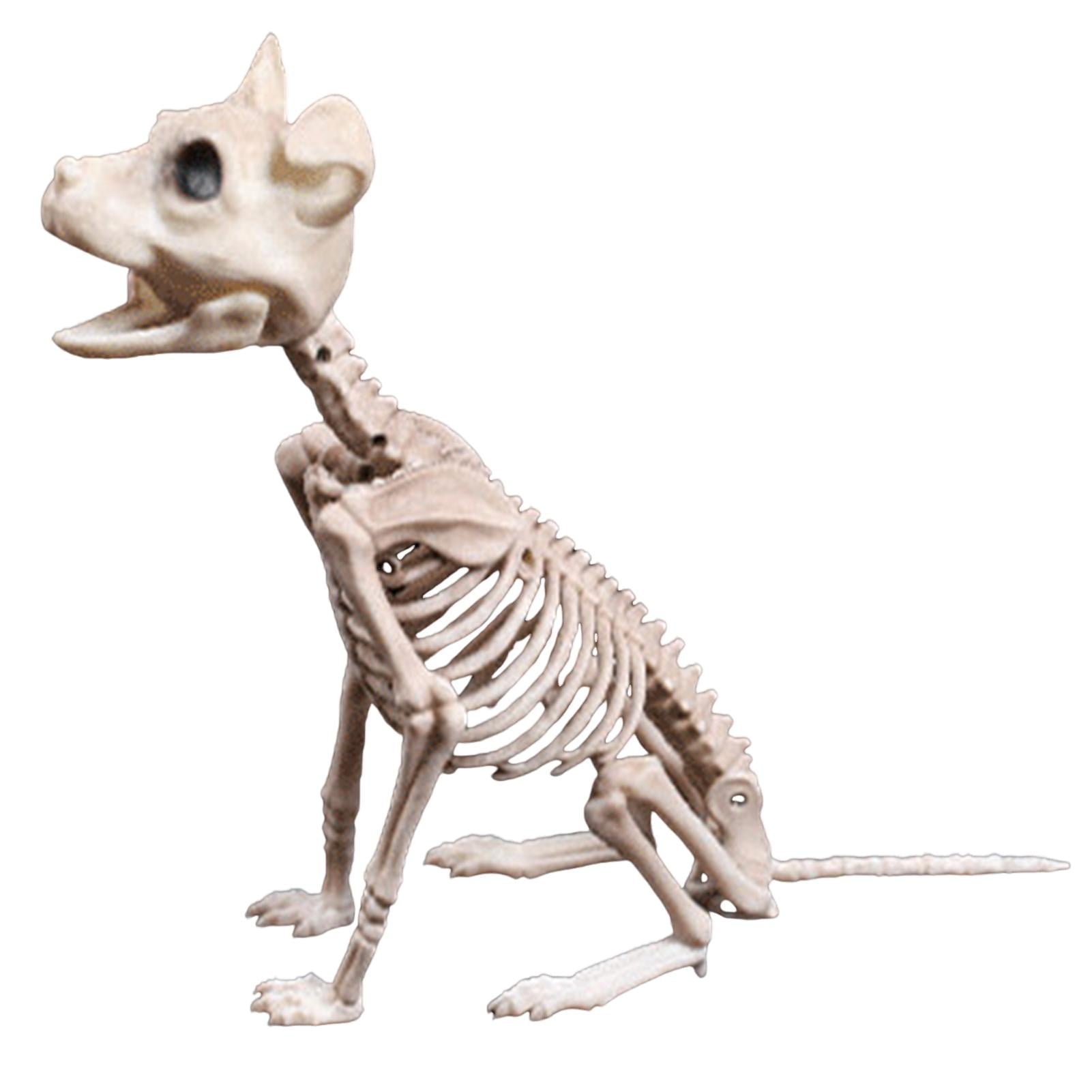 Fogcroll halloween skeleton Halloween Poseable Dog Skeleton Decoration ...