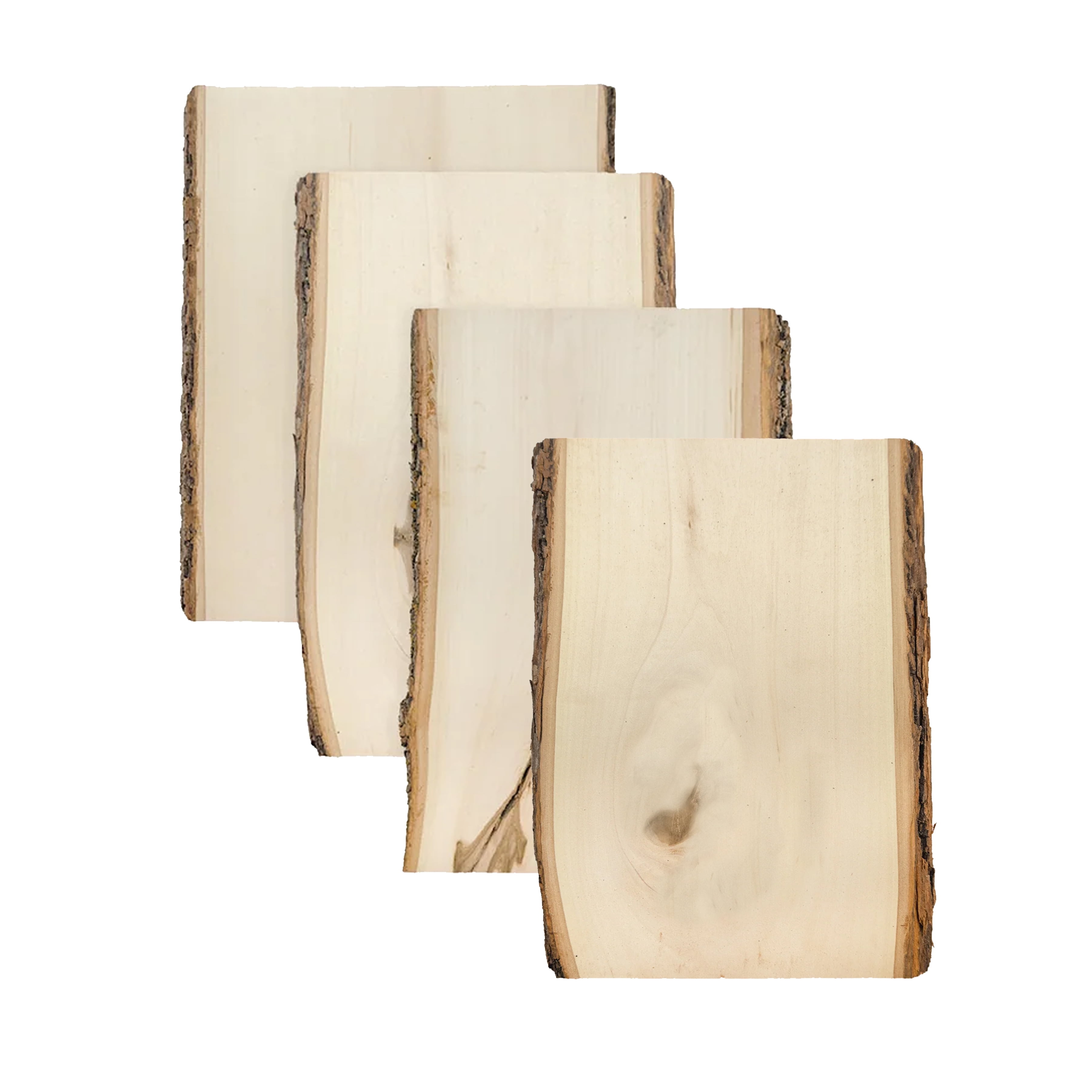 Foggy Bottom Rustic Basswood Live Edge Plank, 0.69 X 7 TO 9" X 11", 4 ...