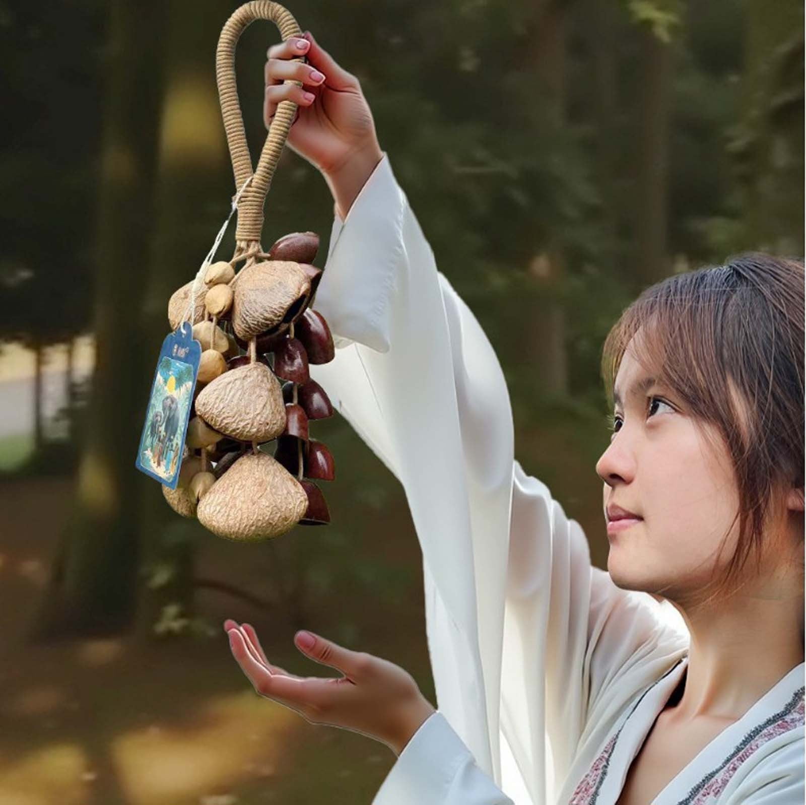 Fold Hode Handmade Natural Healing Bells Wind Chimes with Nut Shells ...