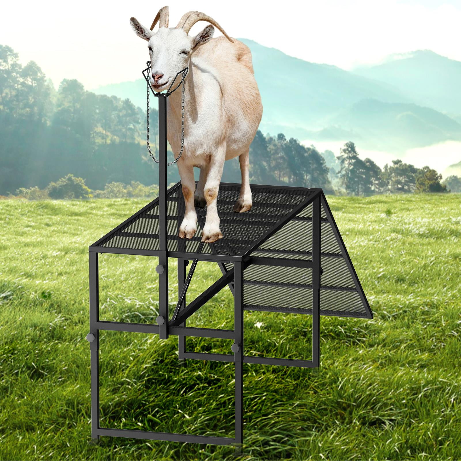 Foldable 500LBS Metal Goat Stand with Ramp, 51x23" 21-33" Adjustable ...
