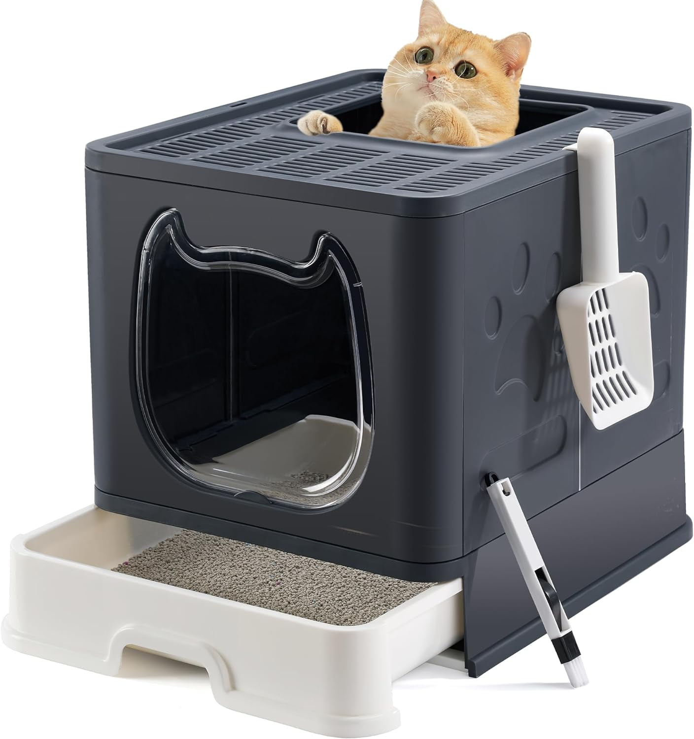 Foldable Cat Litter Box with Sifting Lid Covered Kitten Litter Box with ...
